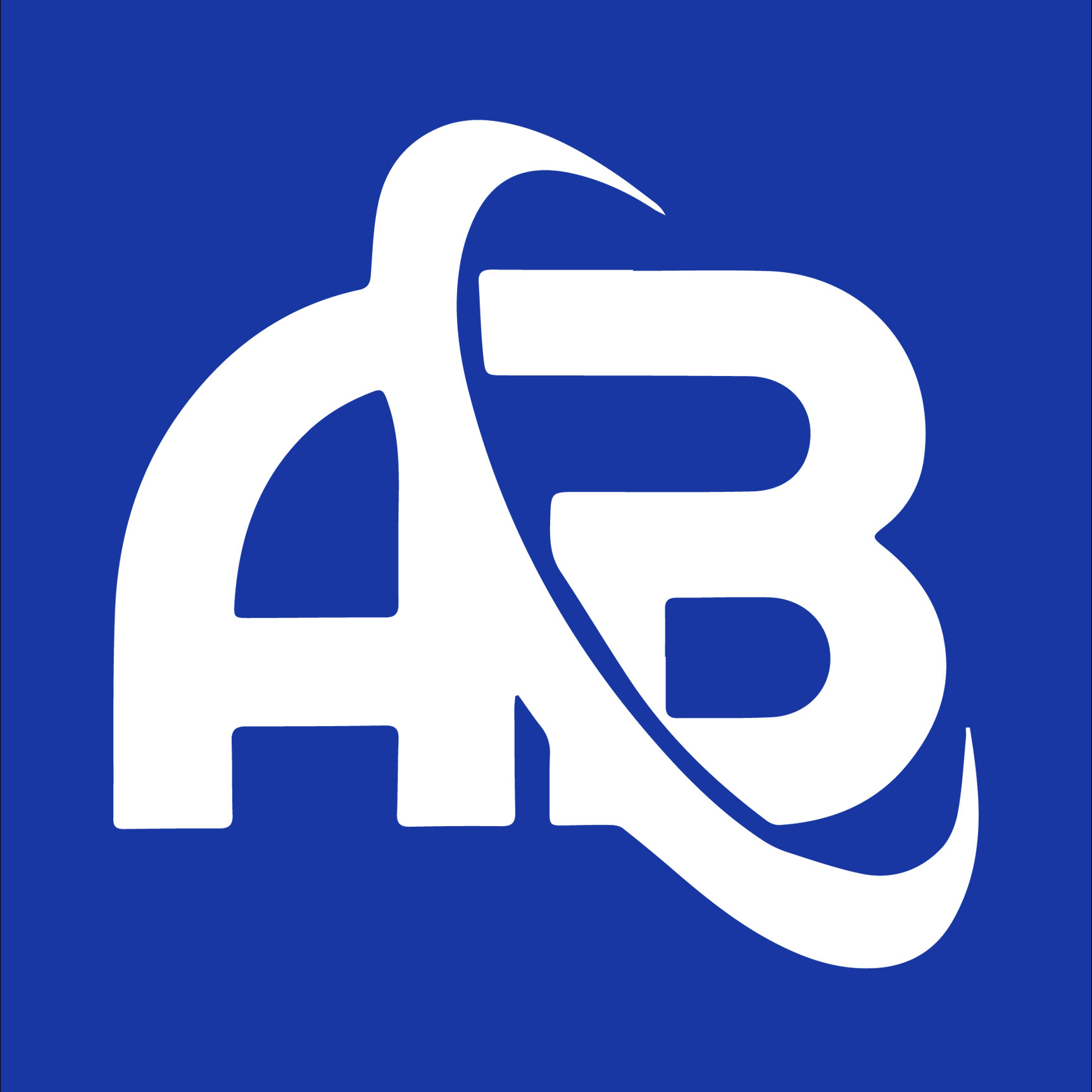 Fletes, mudanzas, logística y distribución en Rosario | AB Transporte